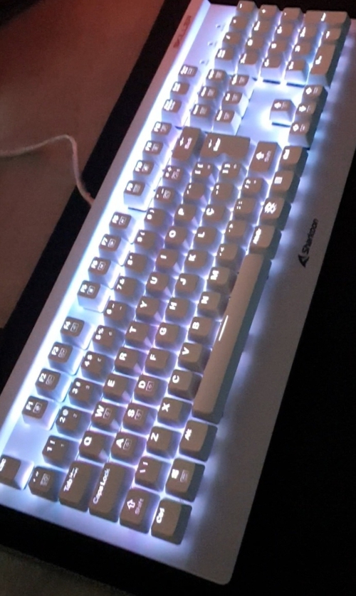 Por R$ 161: [APP] Teclado Gamer Sharkoon Shark Skiller Mech SGK3, RGB ...