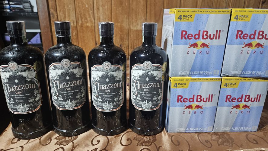 Por R$ 35,90: Gin Amázzoni Rio Negro 750ml + 4 Red Bull Zero | Pelando