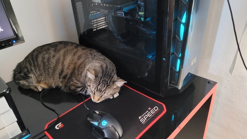 Por R$ 16,91: Mouse Pad Gamer Speed MPG-102 Vermelho Fortrek | Pelando