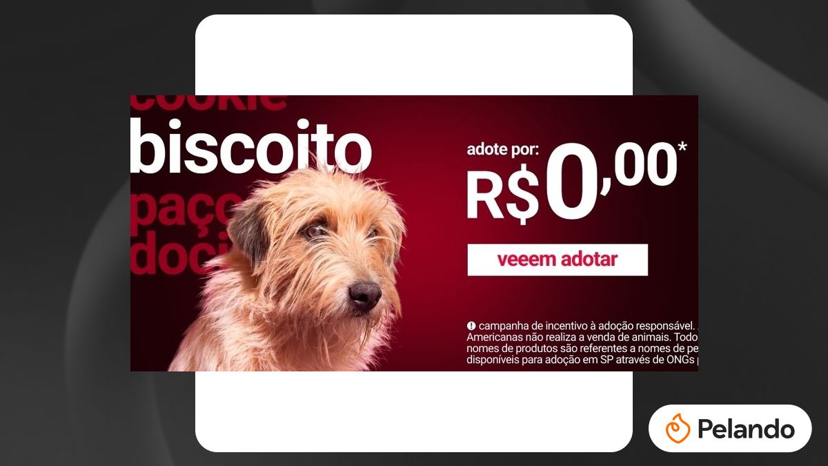 Grátis: Adote um Pet: Amor e Responsabilidade | Pelando