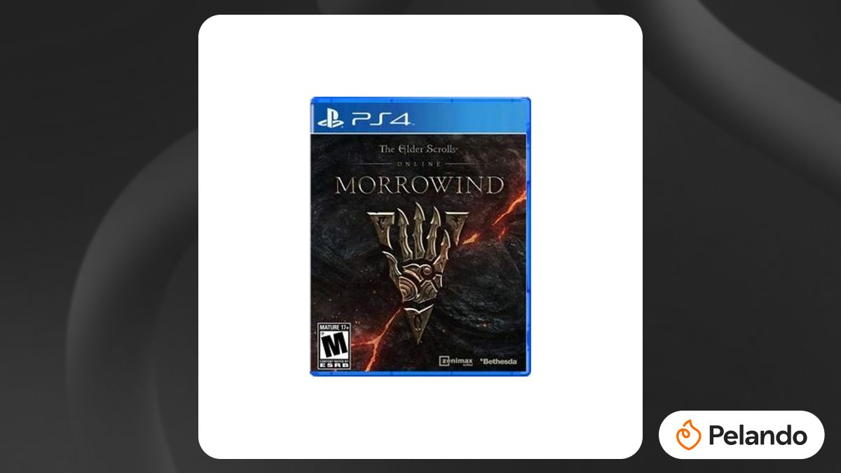 Por R$ 19,99: The Elder Scrolls: Morrowind | PlayStation 4 - R$20 | Pelando