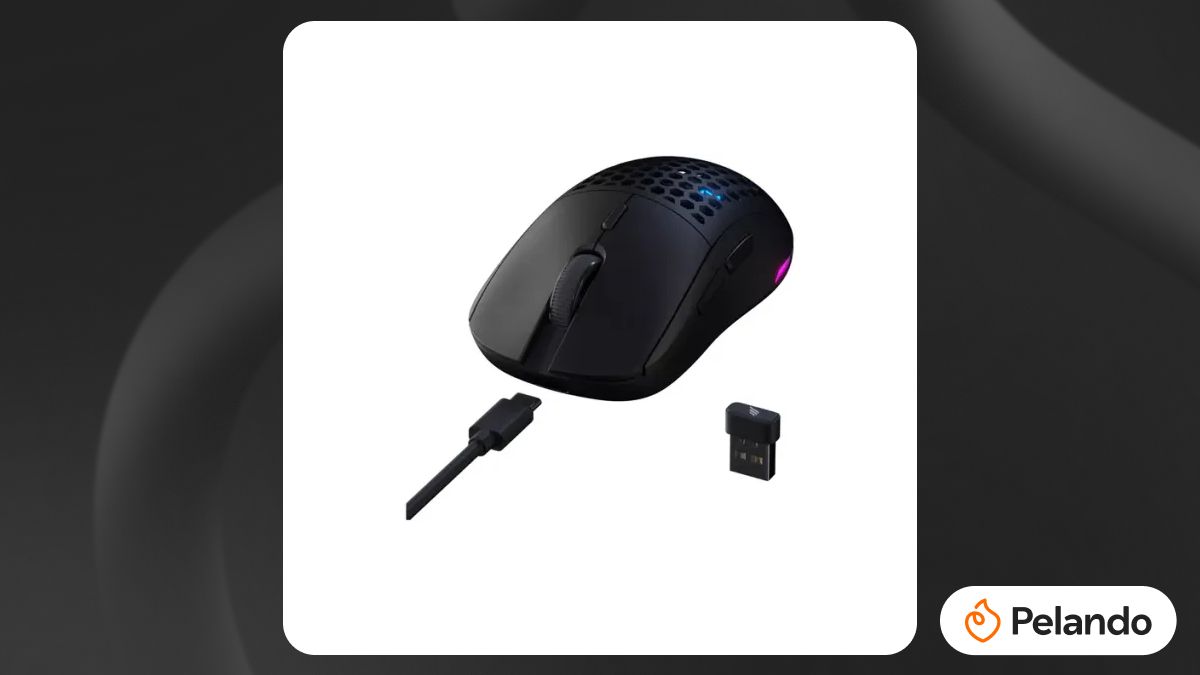 Por R$ 376: Fallen Mouse Gamer Pantera Pro Wireless Preto Sem Fio Com ...