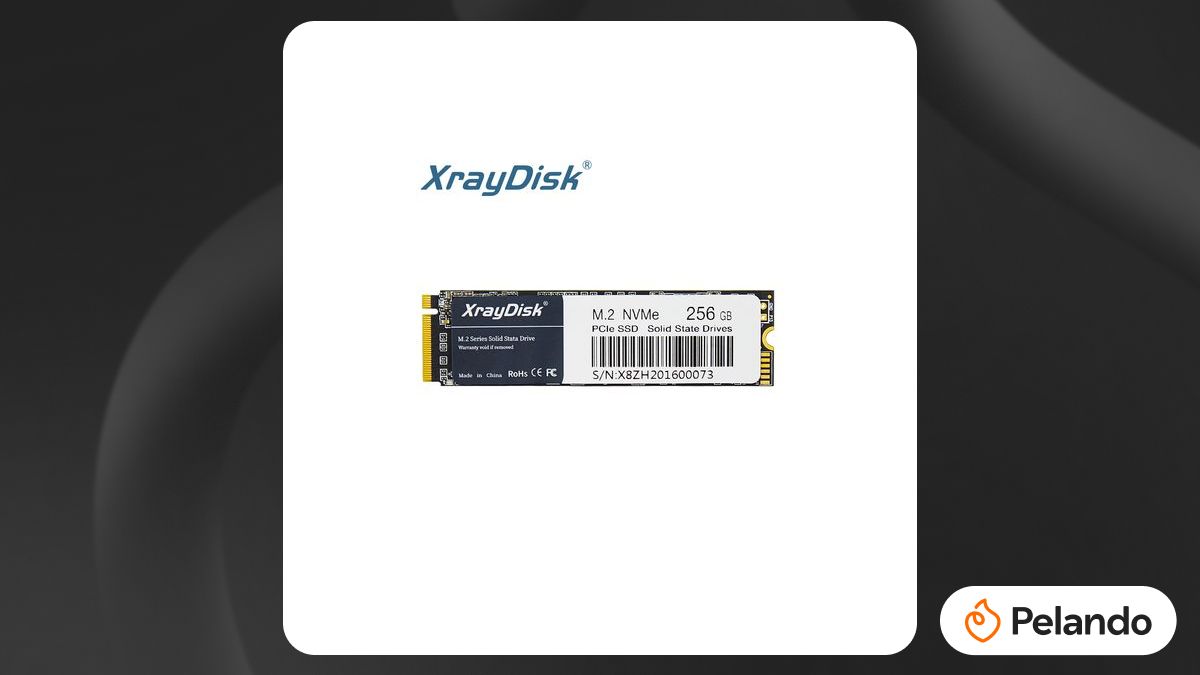 Por R$ 141: SSD Nvme Xraydisk 256gb | Pelando