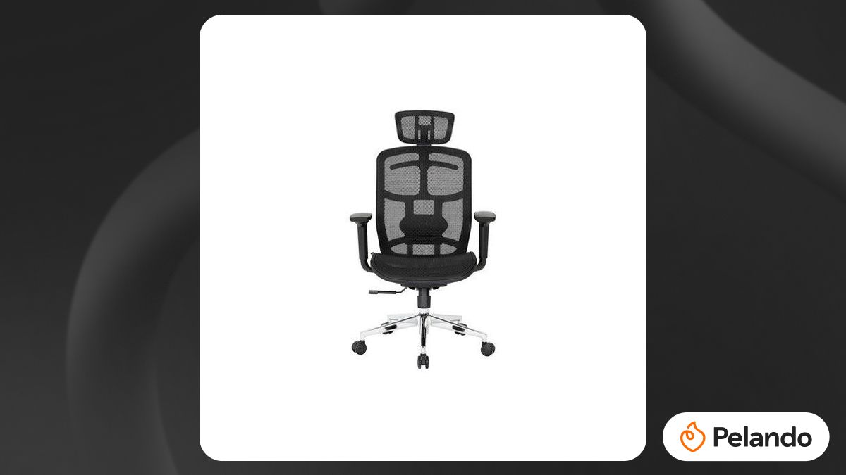 Por R$ 989: Cadeira Ergonômica DT3 Diana V2 Reclinável 150kg | Pelando