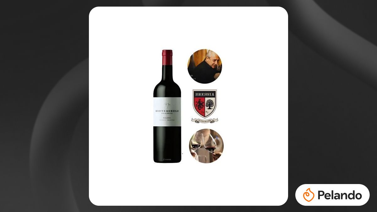 Por R$ 99,90: [Regional]Vinho Malbec Seco Argentino Monteagrelo | Pelando
